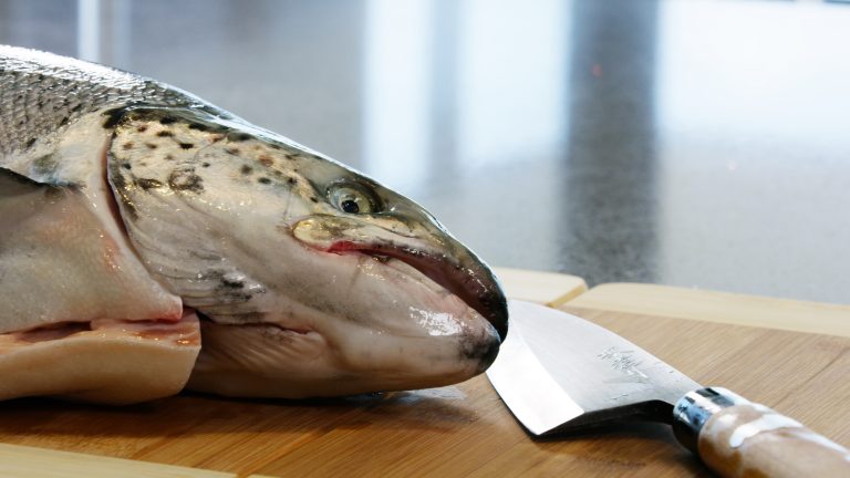 The Fish Rots From The Head Down – platinumHD