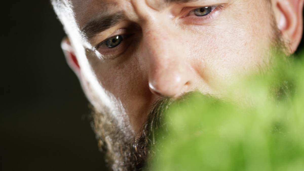 The Paddock To Plate Series For Simon George & Sons. – platinumHD