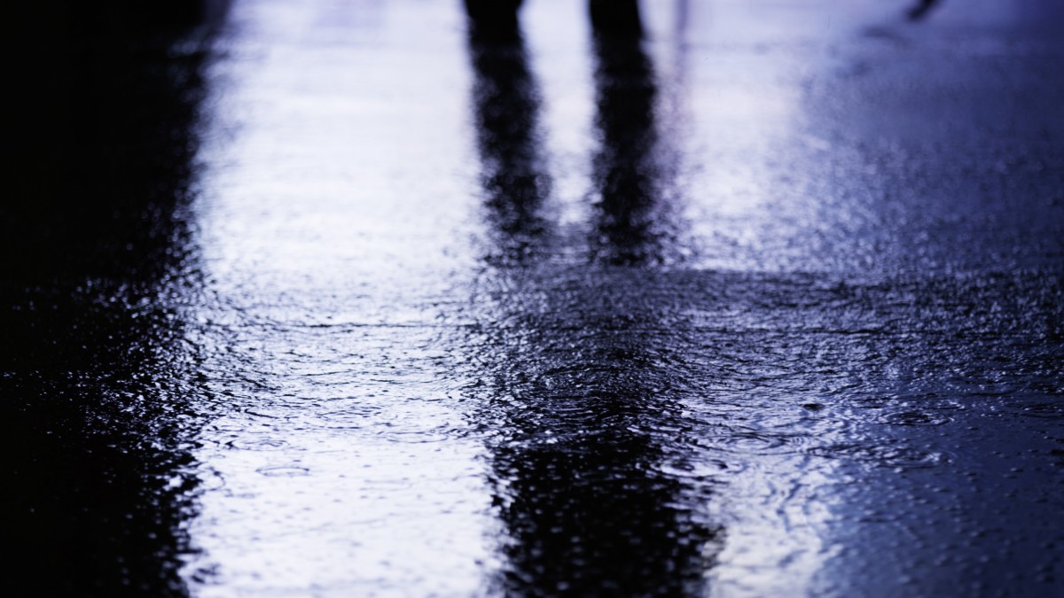 The Paddock To Plate Series For Simon George & Sons. – platinumHD