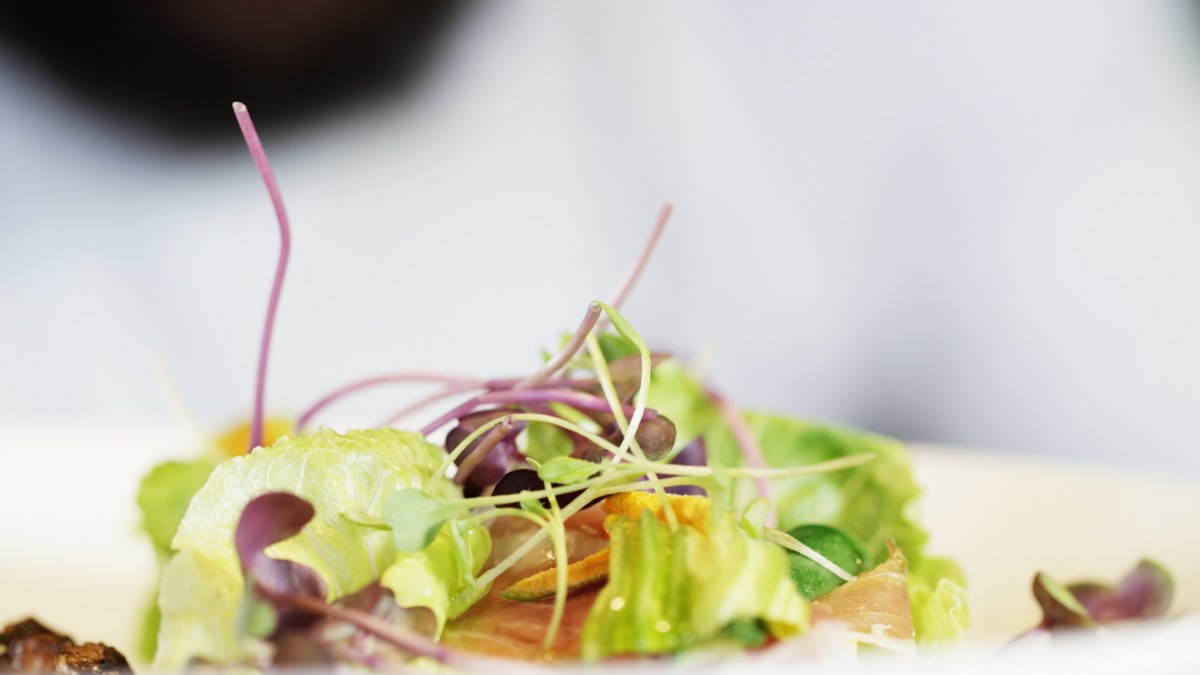 The Paddock To Plate Series For Simon George & Sons. – platinumHD