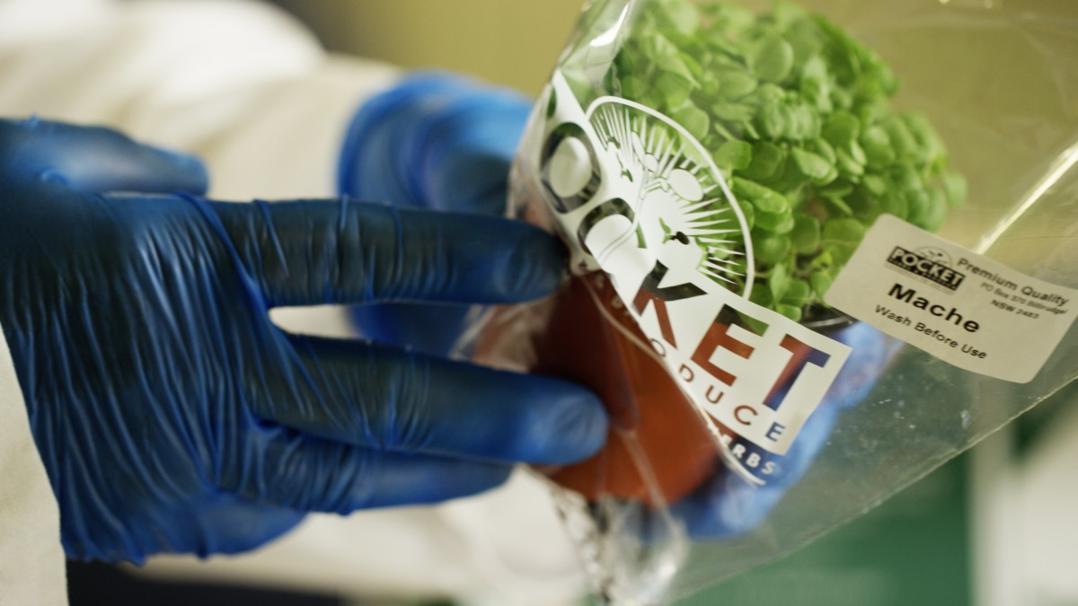 The Paddock To Plate Series For Simon George & Sons. – platinumHD